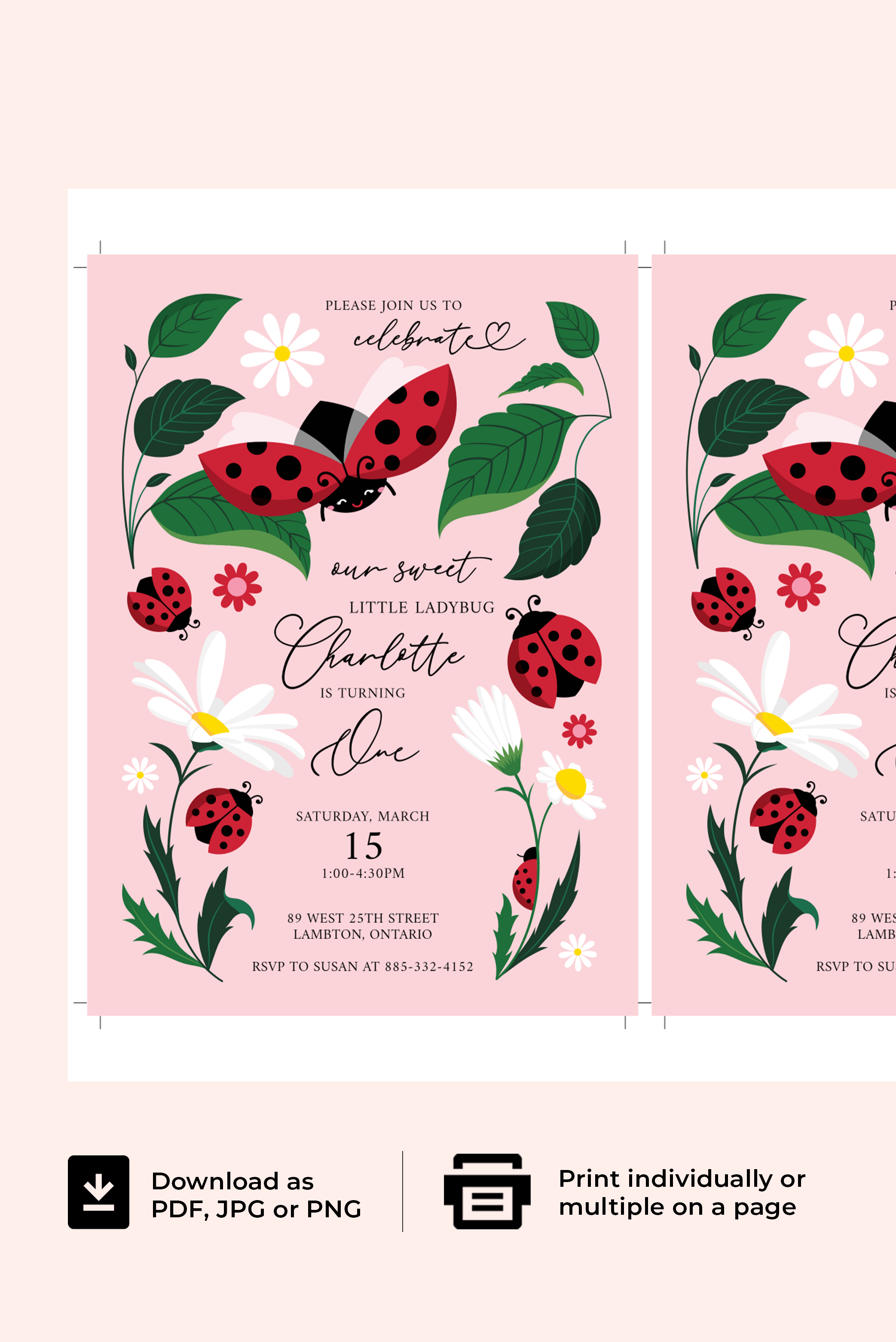 Girl Birthday Party Ideas | Ladybug Birthday Invitation | 1st Birthday ...